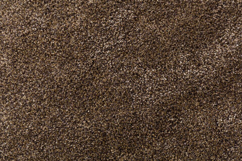 Carpet Installation in Tampa | Renovate Tampa Bay LLC